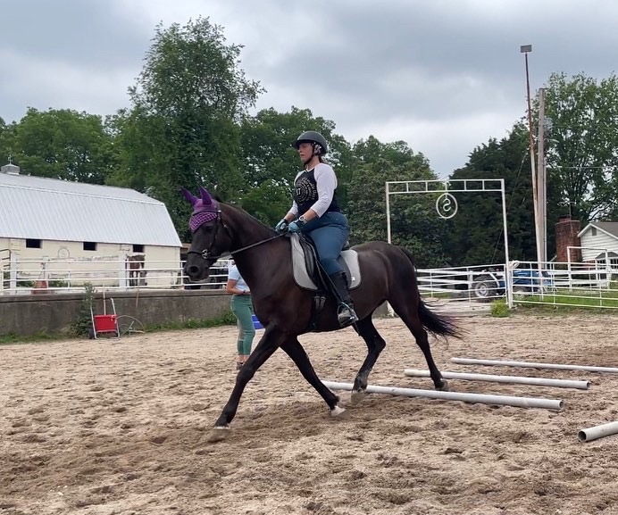 Dynamic Training – Equicurious